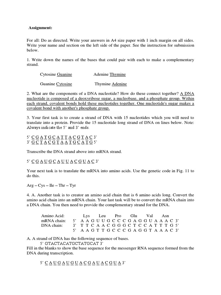 DNA Transcription and Translation Guide | PDF | Dna | Nucleotides