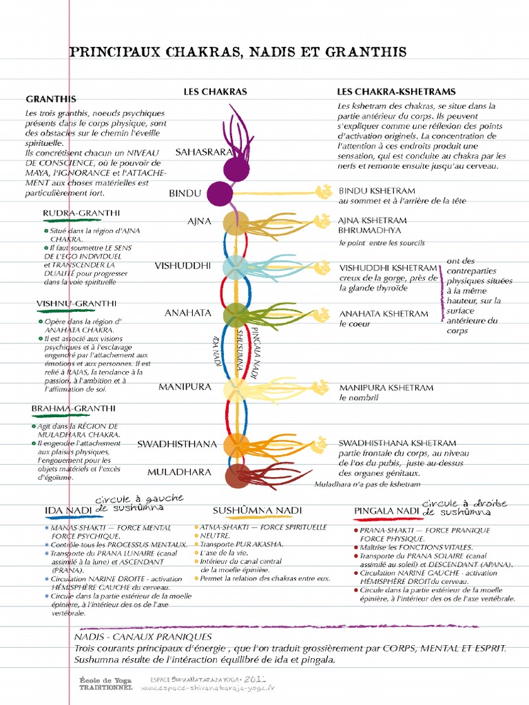 Anama Chakras Nadis Granthis | PDF