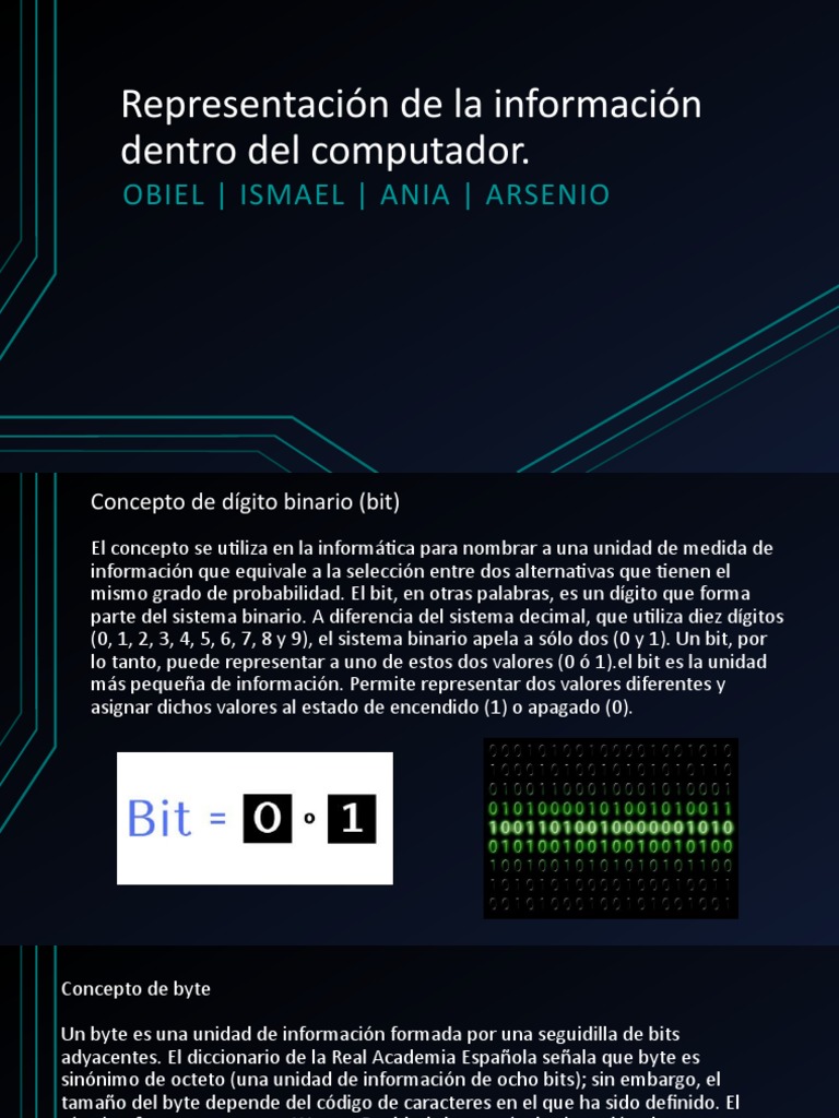 Conceptos de Bits y Bytes en Informática | PDF | Byte | Poco