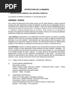 Diferencias entre coníferas y latifoliadas | PDF | Arboles | Hoja