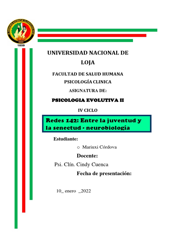 Ensayo Documental Subir | PDF