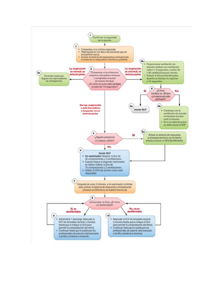 Otros Flujogramas Pals | PDF