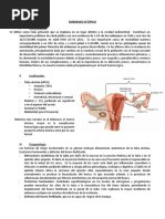 AZOADOS | PDF | Ciencia y matemáticas