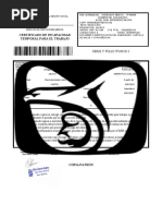 Formato ST7 Editable | PDF | Salud y bienestar | Medicina