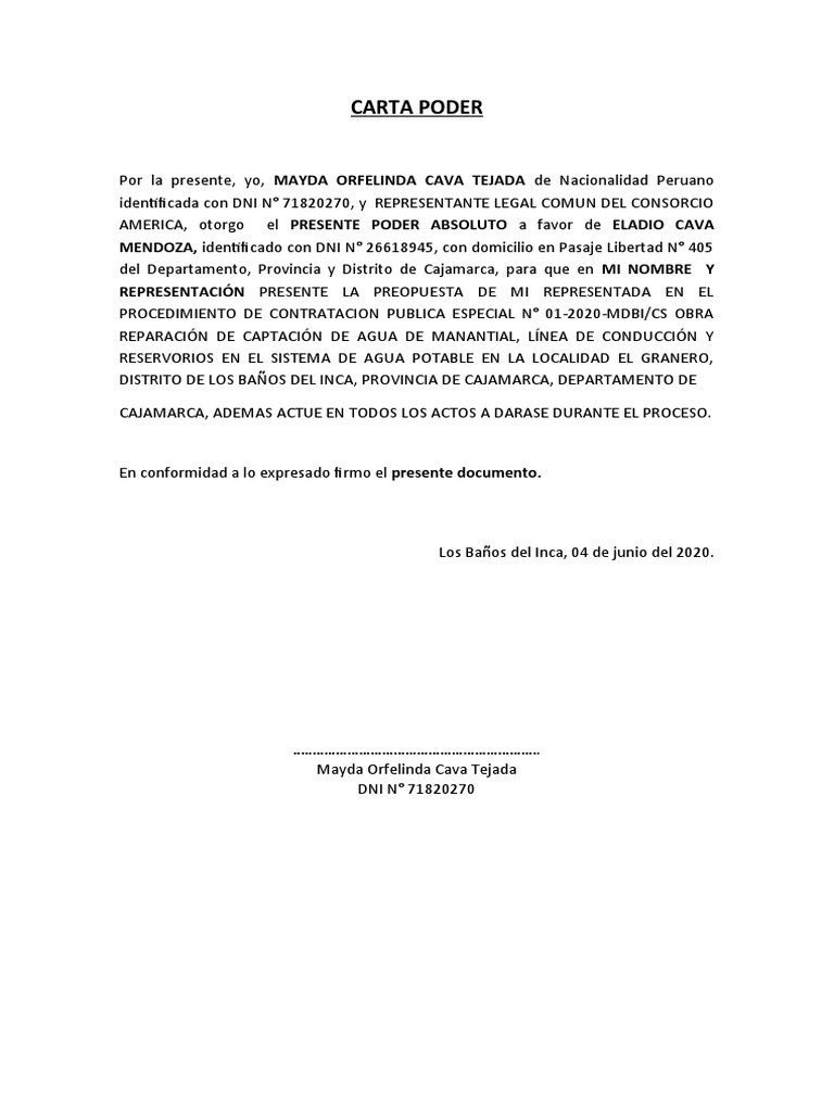 Modelo de Carta Poder | PDF