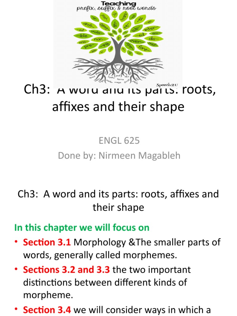Nirmeen's Presentation | PDF | Word | Morphology (Linguistics)