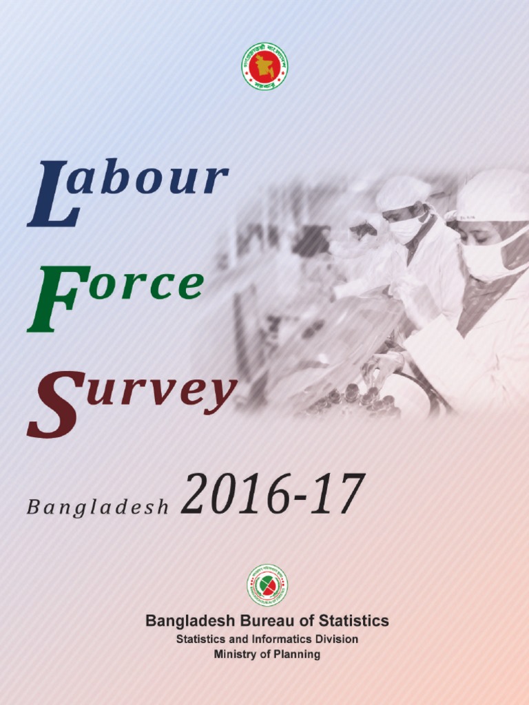 Labour Force Survey 2016 17 | PDF | Survey Methodology | Employment