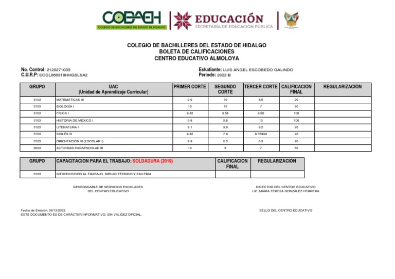 Boleta de Calificaciones | PDF