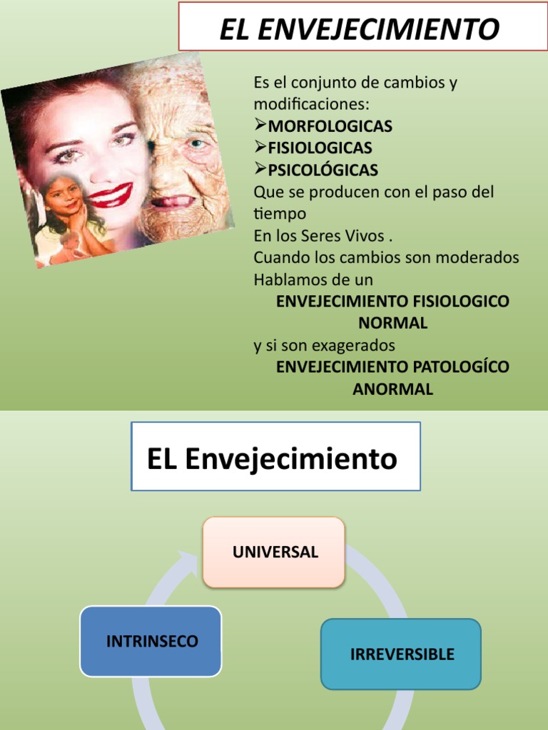 Teorias Del Envejecimiento 2 | PDF | Envejecimiento | Vejez