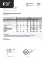 Informe de Notas 2025 | PDF