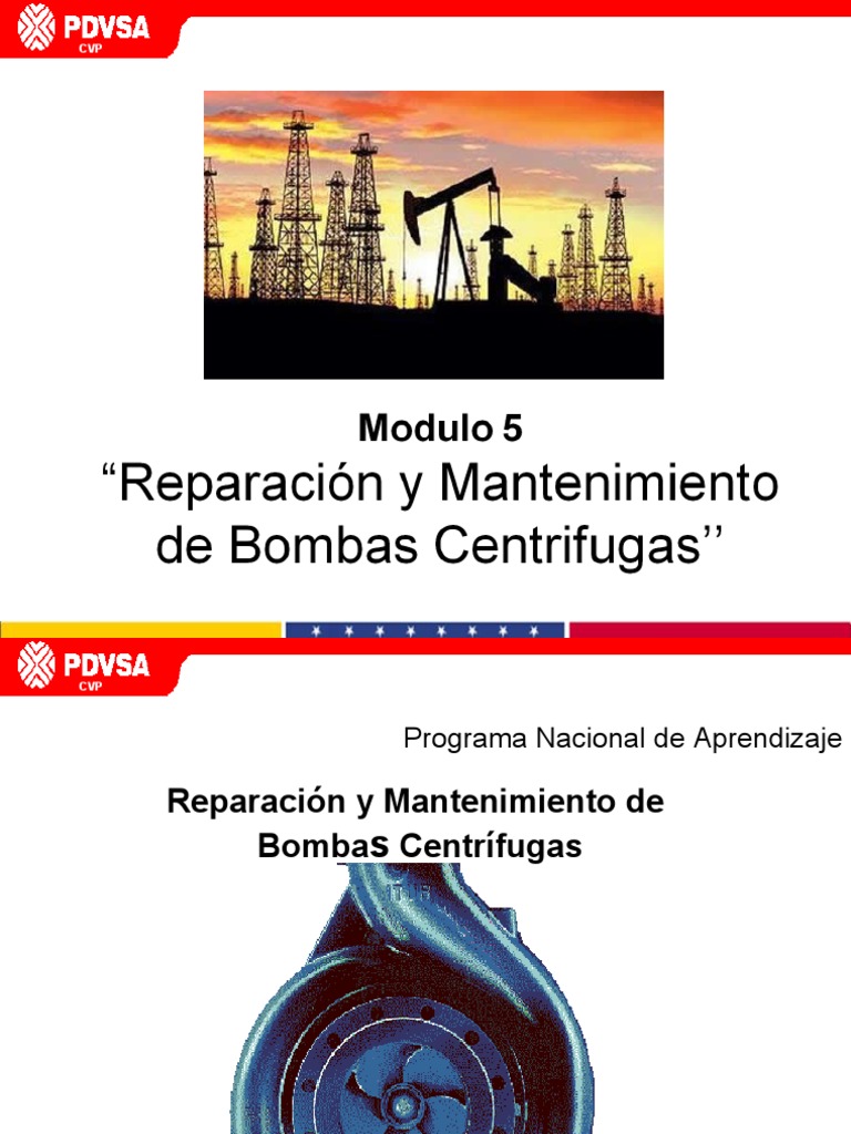 Modulo 5 Bomba Centrifuga | PDF | Rodamiento (Mecánico) | Bomba