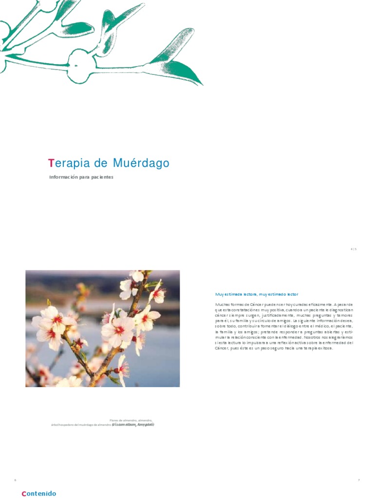 Terapia de Muerdago. | PDF | Cáncer | Quimioterapia