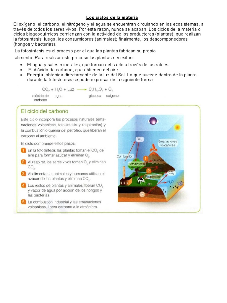 1.los Ciclos de La Materia | PDF