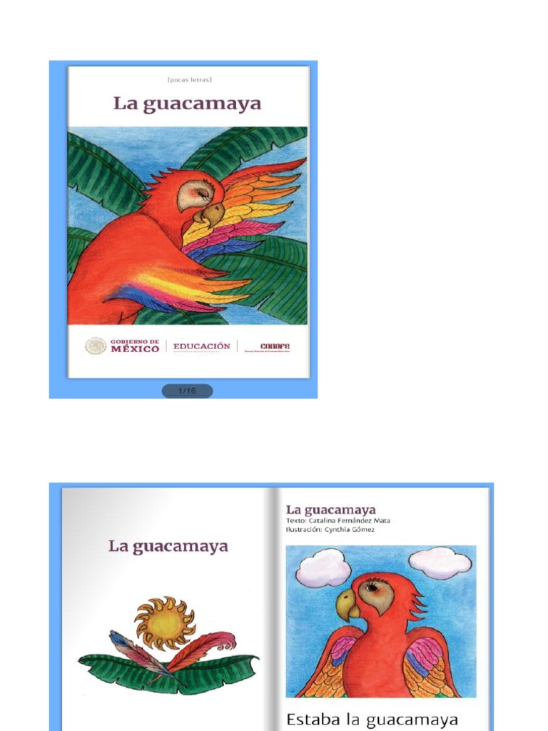 Cuento La Guacamaya | PDF