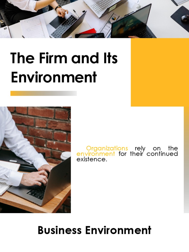 Firm's Environment Analysis and Strategy | PDF | Business | Economies