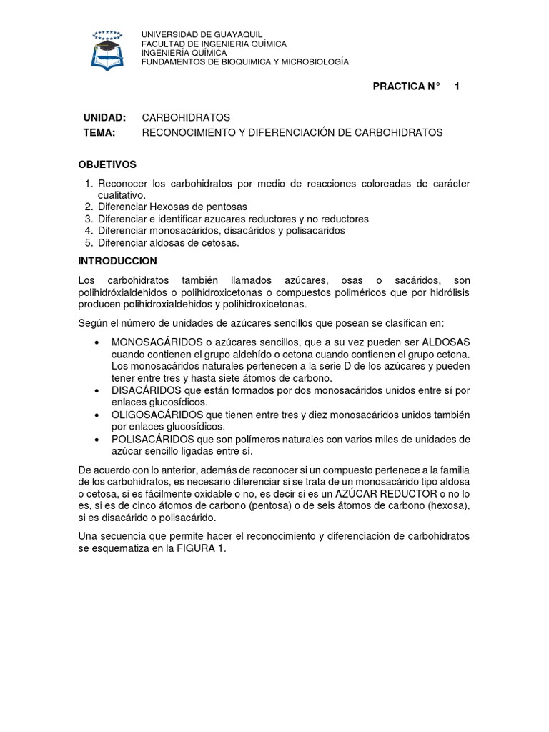 Reconocimiento de Carbohidratos en Práctica | PDF | Carbohidratos | Compuestos orgánicos