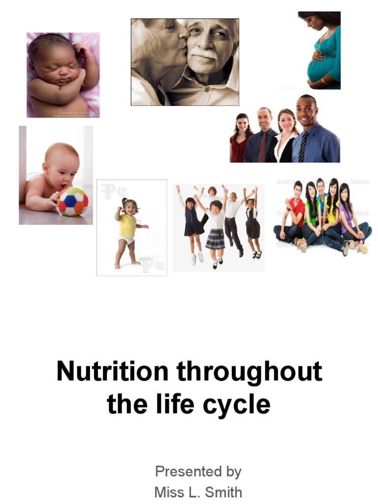 Nutrition through the life cycle | PDF | Food Energy | Breastfeeding