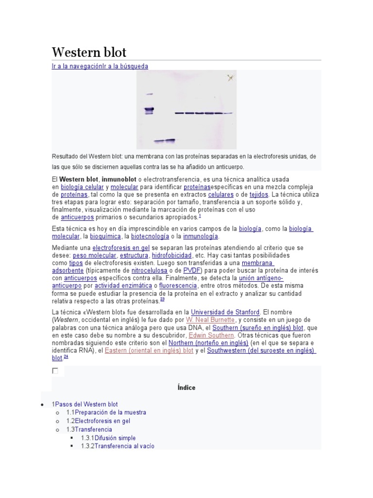 Western Blot | PDF | Química | Bioquímica