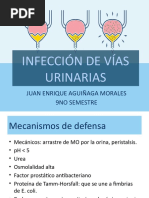 Guía de Referencia IVU | PDF | Infección del tracto urinario | Medicina ...