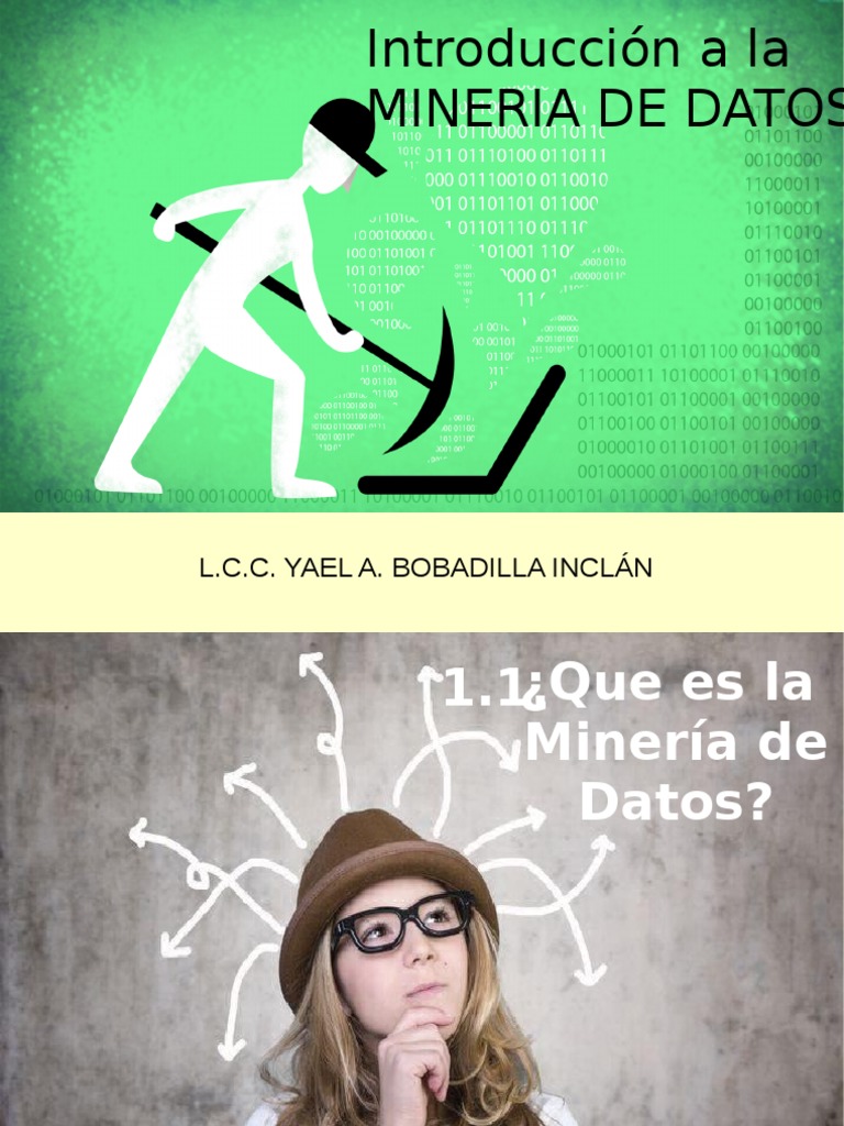 Introducción A La Mineria de Datos | PDF | Procesamiento de datos | Bases de datos