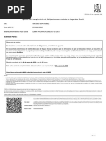 Carta de Terminos y Condiciones NPIE | PDF