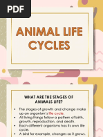 Tiger Life Cycle Explained for Kids | PDF