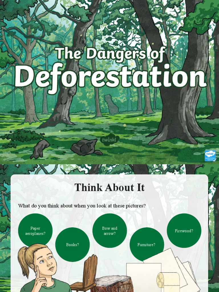 ks2 Deforestation Information Powerpoint English - Ver - 6 | PDF | Deforestation | Rainforest