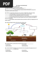 PHET Energy Forms and Changes Lab | PDF | Heat | Compact Fluorescent Lamp