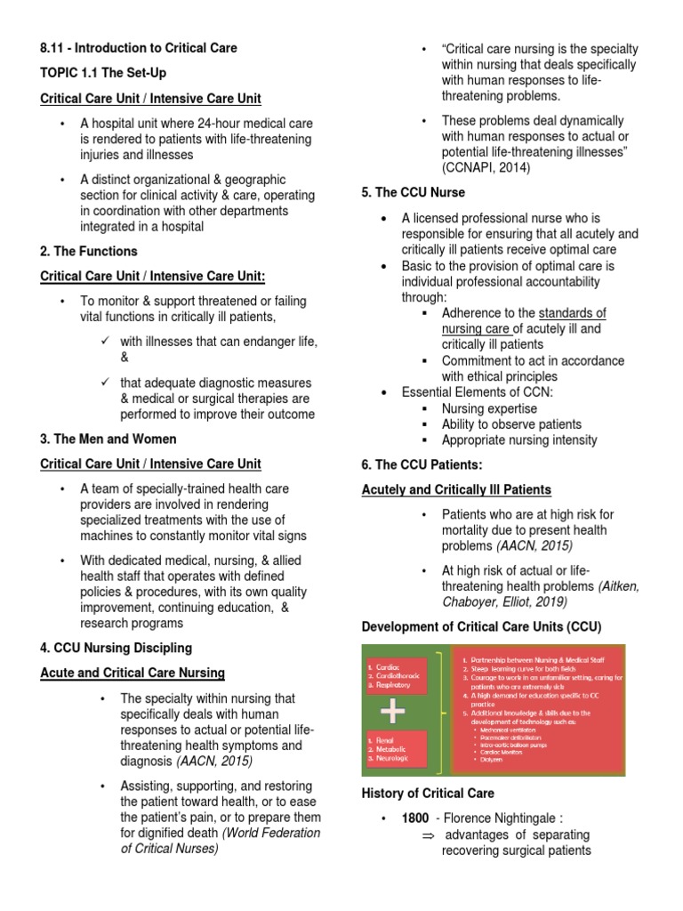 Introduction to Critical Care Nursing Roles and Units | PDF | Intensive ...