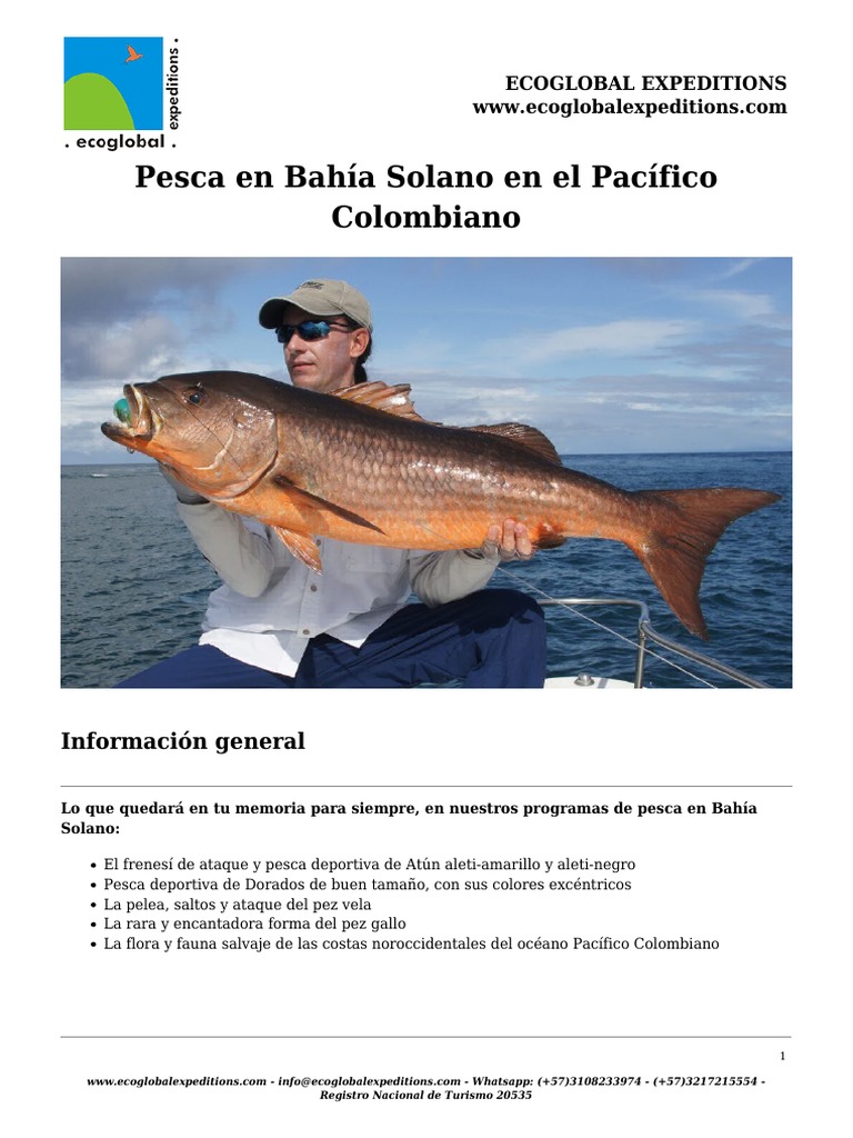 Pesca en Bahía Solano en El Pacífico Colombiano | PDF | Pesca ...