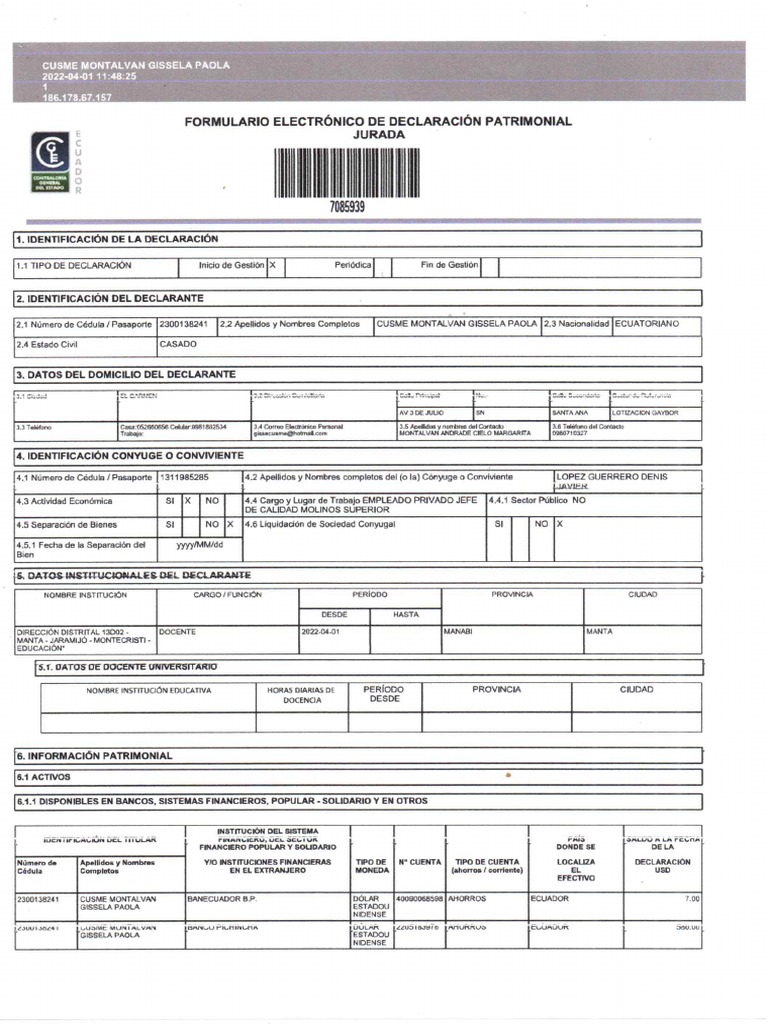 Formulario Electrónico de Declaración Patrimonial Jurada | PDF