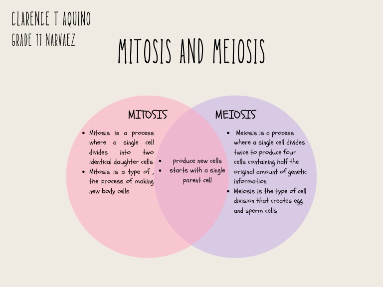 Pink and Violet Pastel Sweets Venn Diagram | PDF