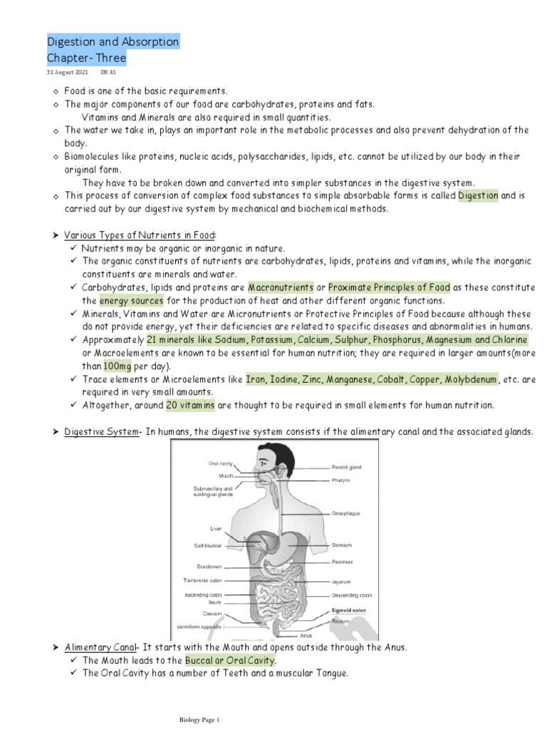 Digestion and Absorption - Notes | PDF | Tooth | Pancreas