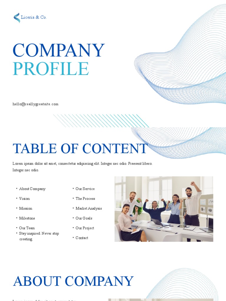 Modern and Minimal Company Profile Presentation | PDF | Tullii