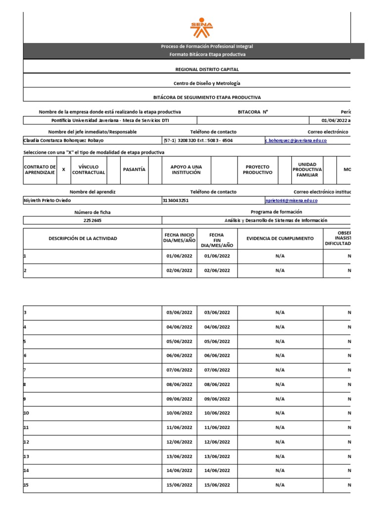 Bitácora Plantilla | PDF