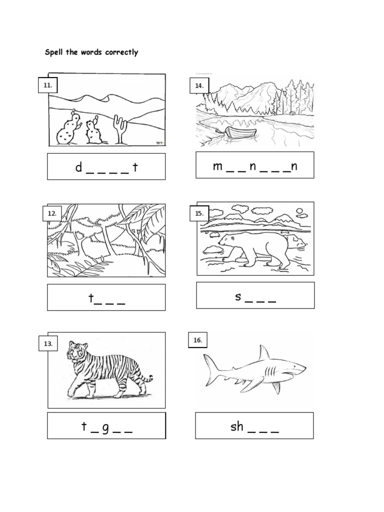 Spell The Words Correctly | PDF