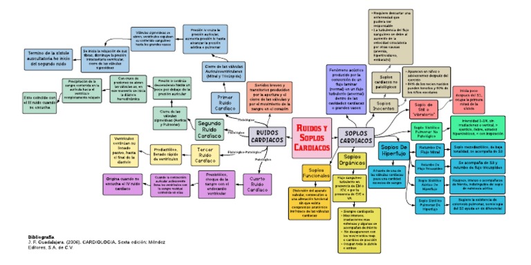 Mapa Conceptual Cardiología | PDF | Corazón | Sistema circulatorio