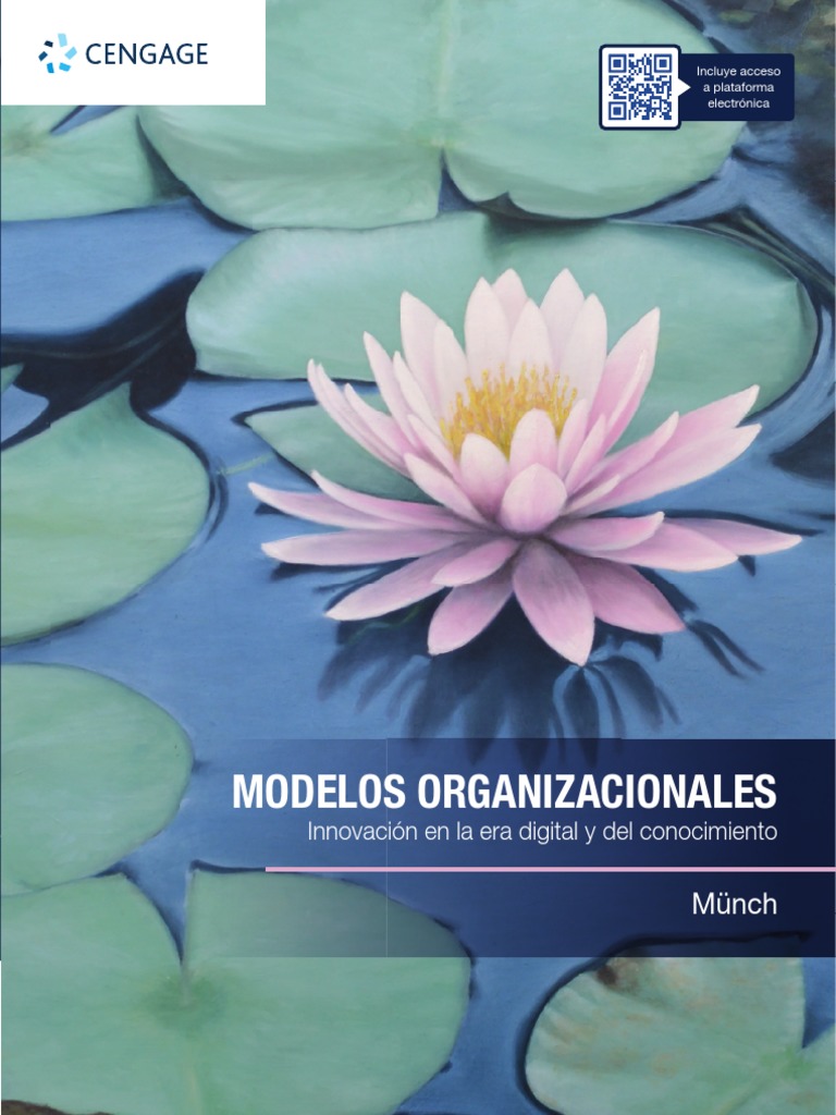 Issu | PDF | Innovación | Evaluación