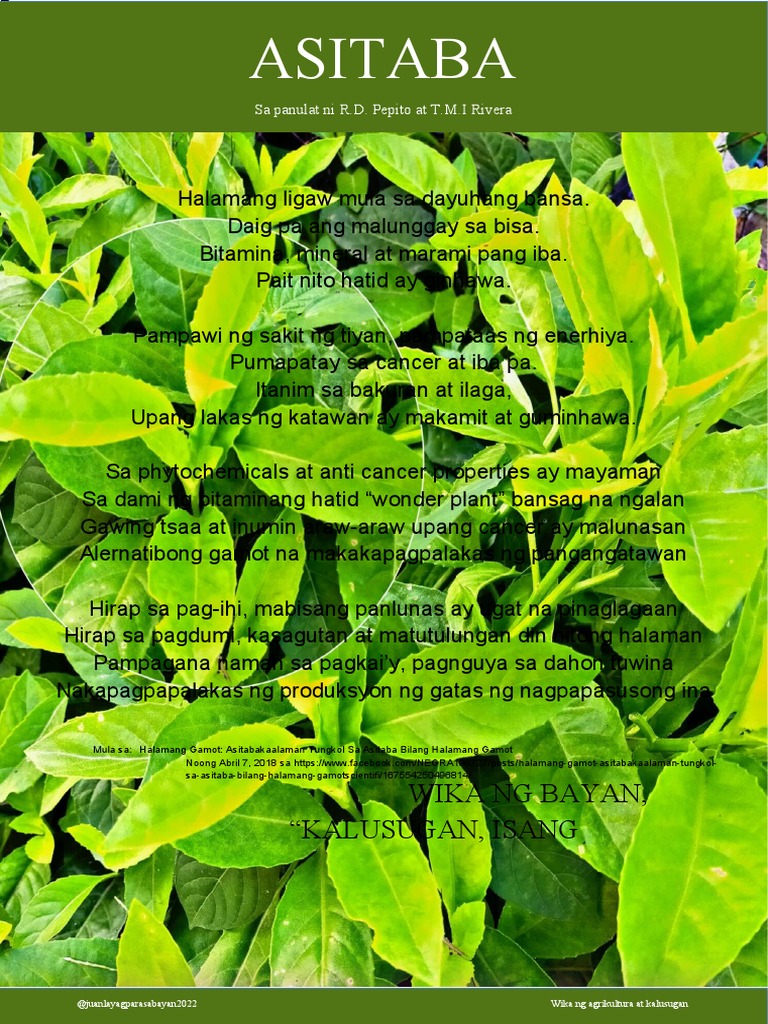 Asitaba Pepito Rivera Talahalamanan Tula | PDF
