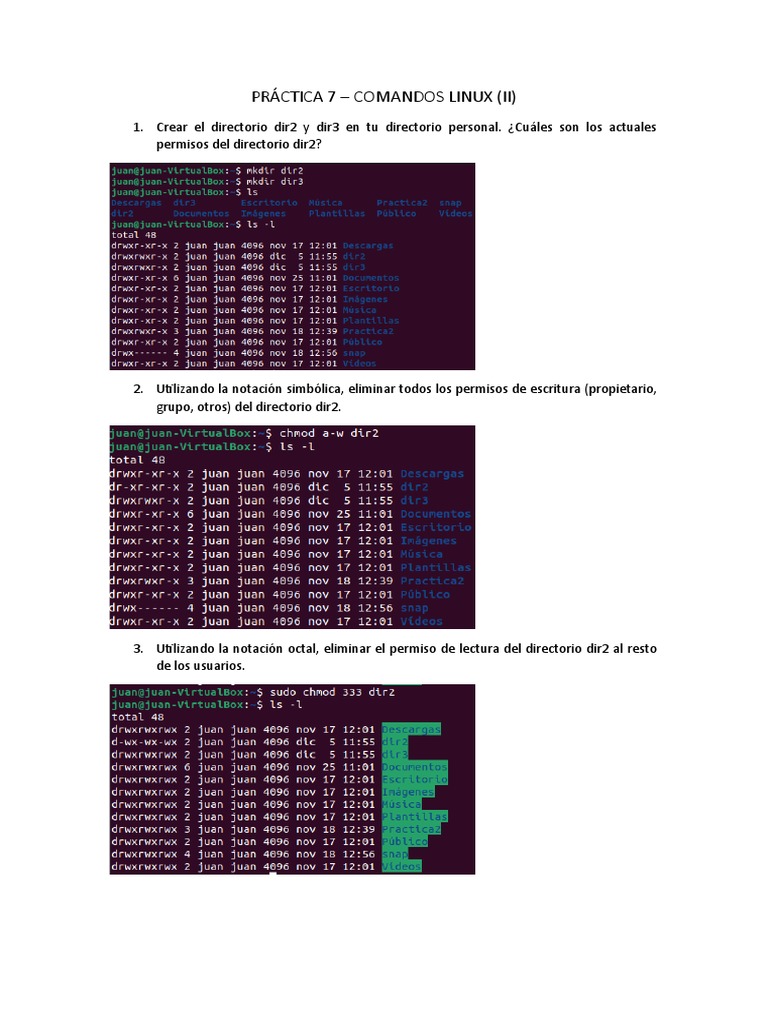 PRÁCTICA 7 Comandos Linux | PDF | Archivo de computadora | Gestión de datos