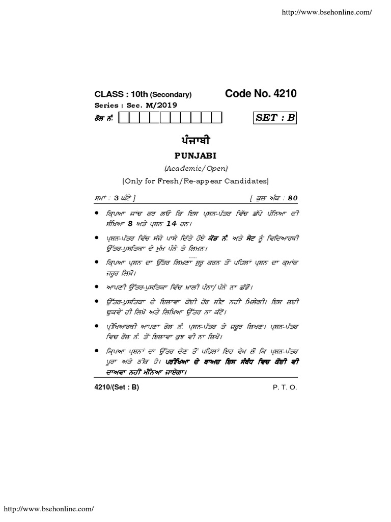 Class 10 Punjabi 4210 B 2019 | PDF