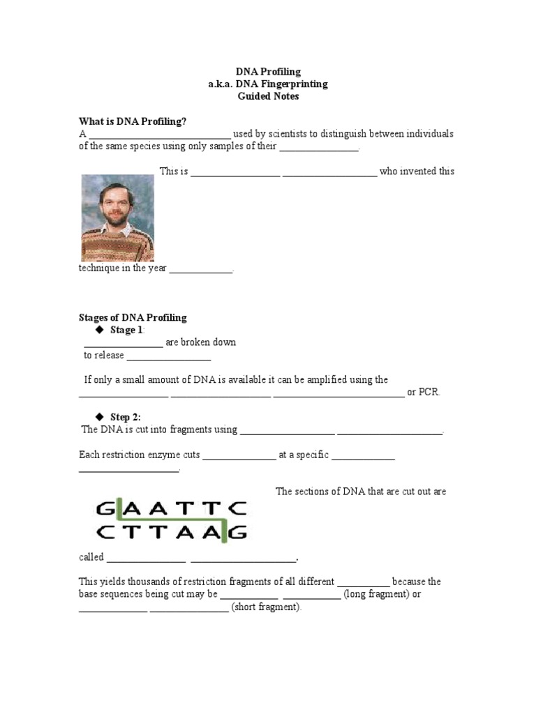 DNA Profiling A.K.A. DNA Fingerprinting Guided Notes What Is DNA ...