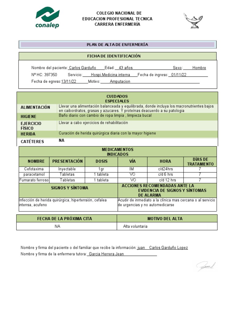 Plan de Alta | PDF | Enfermería | Dolor de cabeza