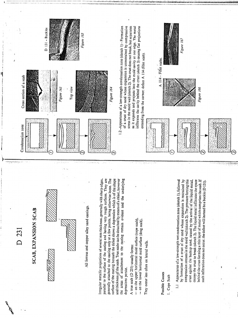 Scab, Expansion Scab | PDF