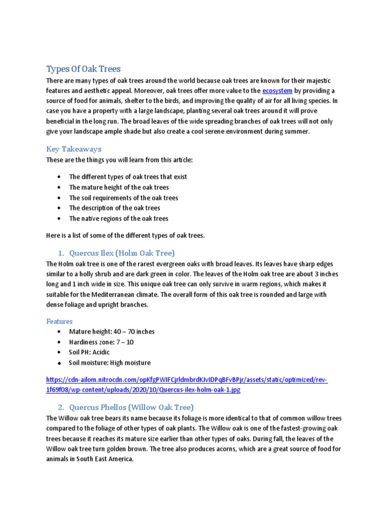 Types of Oak Trees | PDF | Oak | Trees