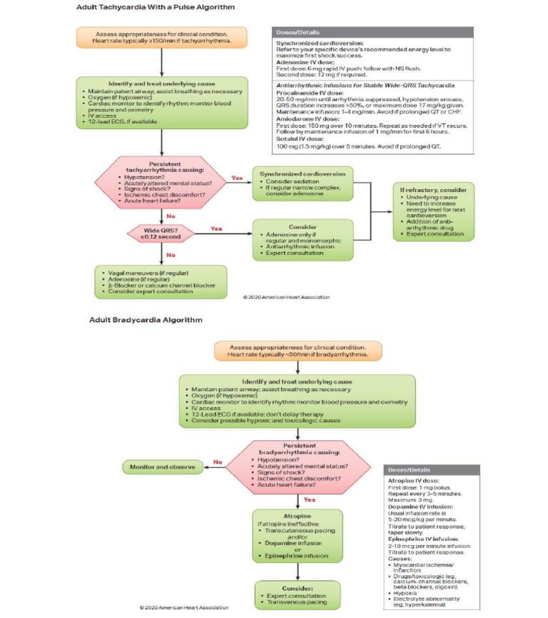 Algoritma Takiaritmia Dan Bradiaritmia | PDF