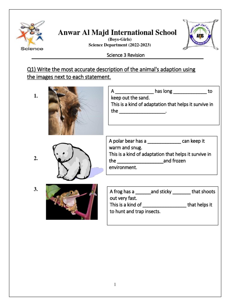 Animal Adaptations Worksheet for Grade 3 | PDF
