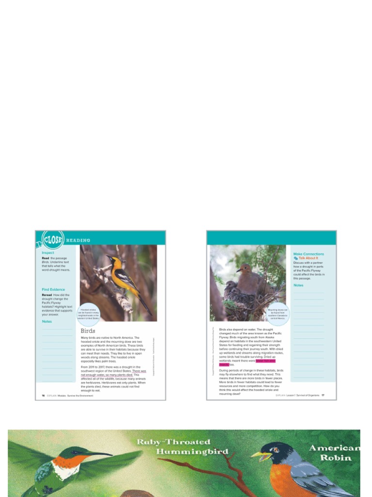 Grade Three U3l2 | PDF | Desert | Adaptation