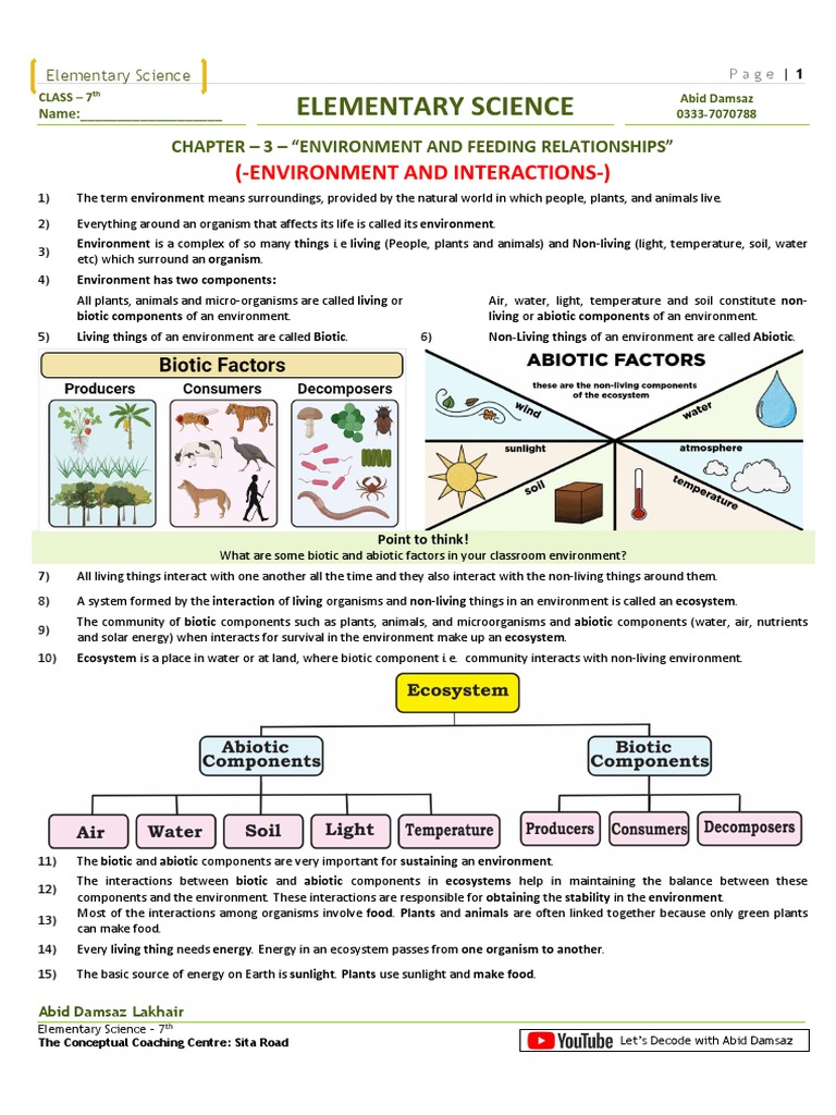 Environment - Working | PDF | Natural Environment | Ecosystem
