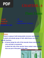 Grade 10 Science Practice Exam With Answers - ProProfs Quiz | PDF ...